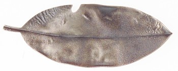 Contemporary New Zealand Jewellery by Areta Wilkinson